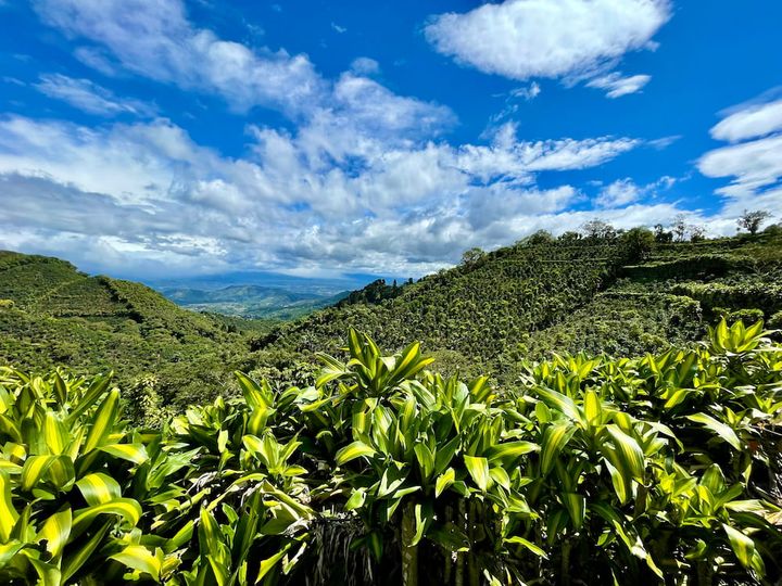 Den Ouden GrowSolutions